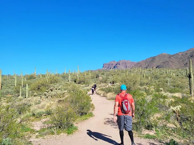 hieroglyphic trail 3