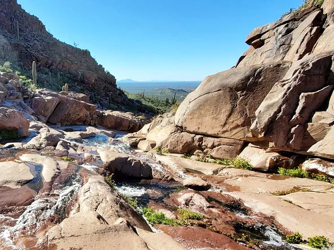 hieroglyphic trail 5