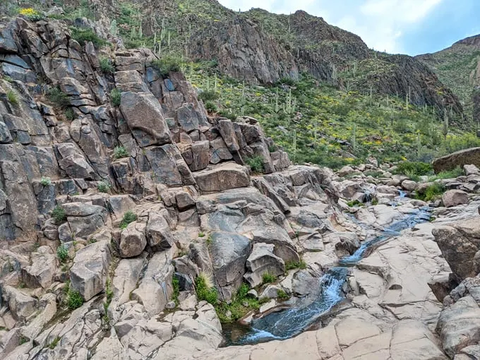 hieroglyphic trail 7