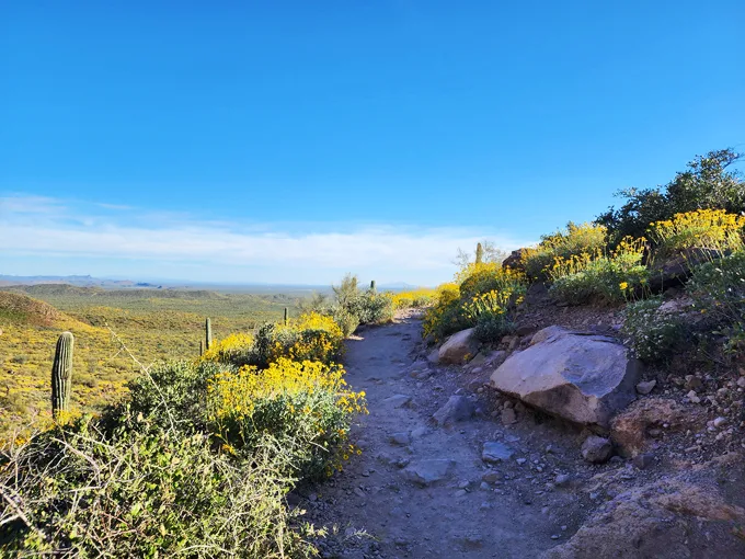 hieroglyphic trail 8