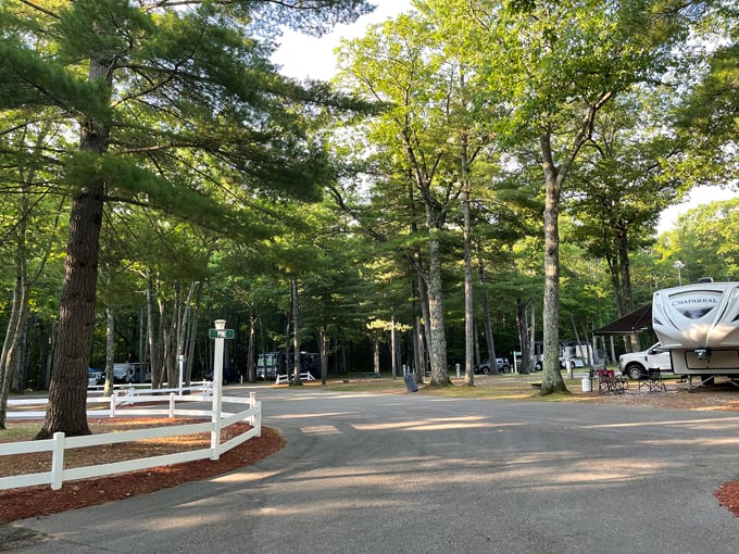indian river rv resort 2