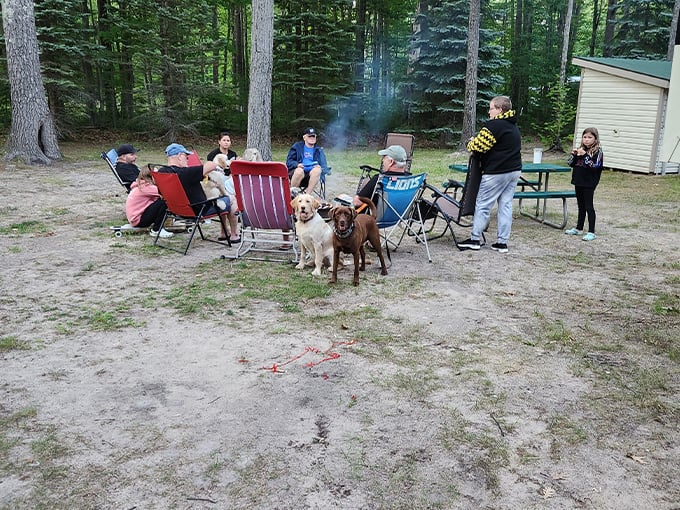 indian river rv resort 4