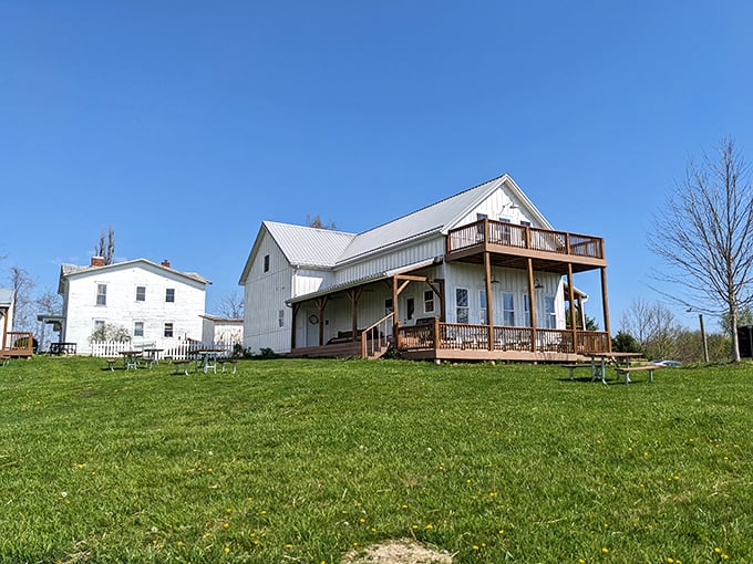 le petit chevalier vineyards and farm winery 1