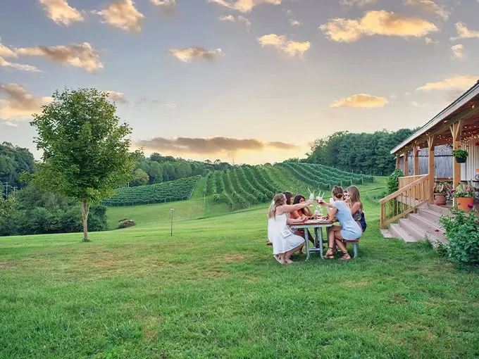 le petit chevalier vineyards and farm winery 1