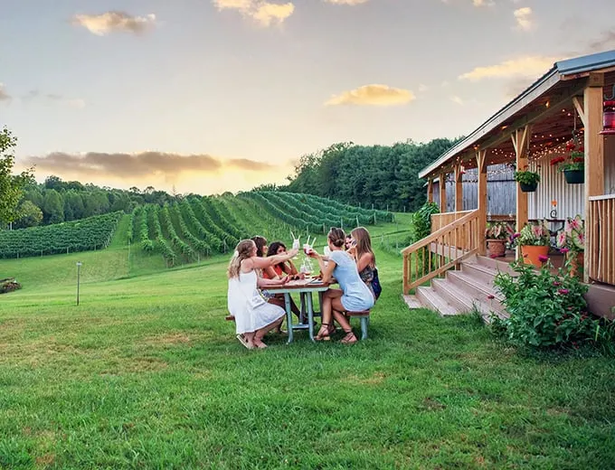 le petit chevalier vineyards and farm winery 2