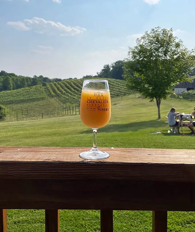 le petit chevalier vineyards and farm winery 4