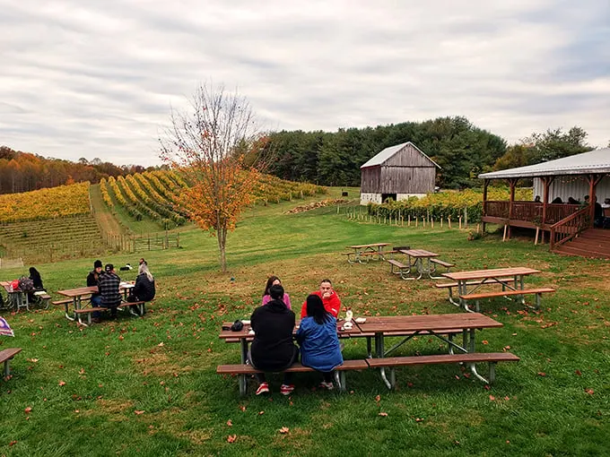 le petit chevalier vineyards and farm winery 9