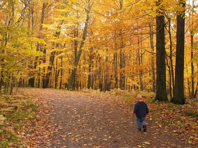 mille lacs kathio state park 1