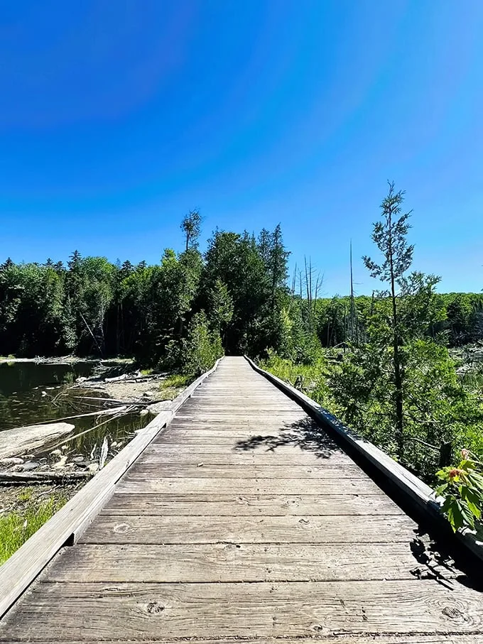 mount pisgah trail 1