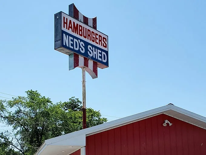 ned's shed 1