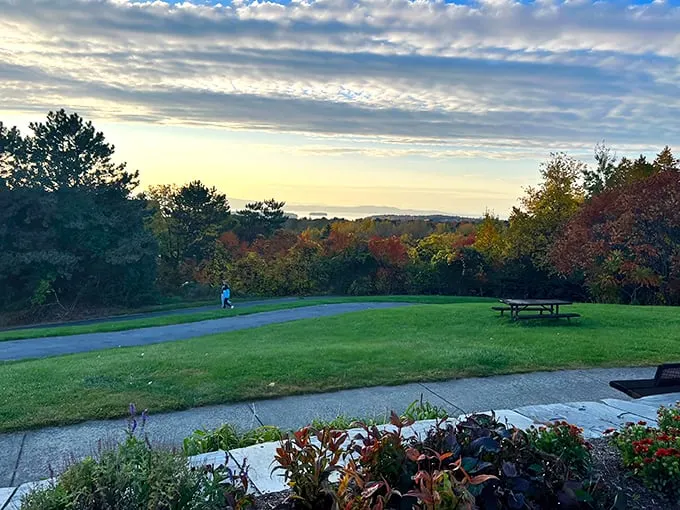 overlook park 1