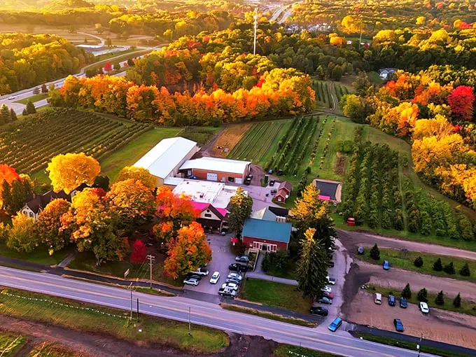 robinette's apple haus & winery 1