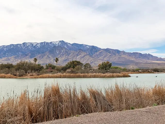 roper lake state park 1