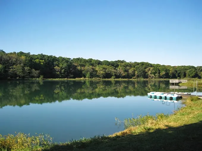 silver springs state fish and wildlife area 1
