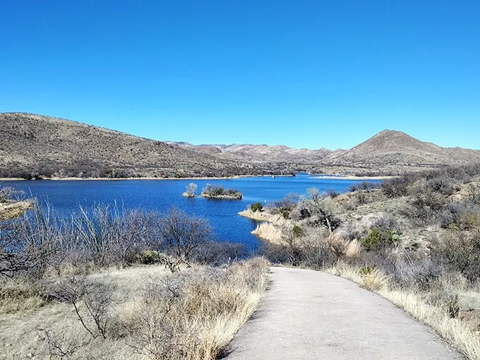 sonoita creek state natural area 1