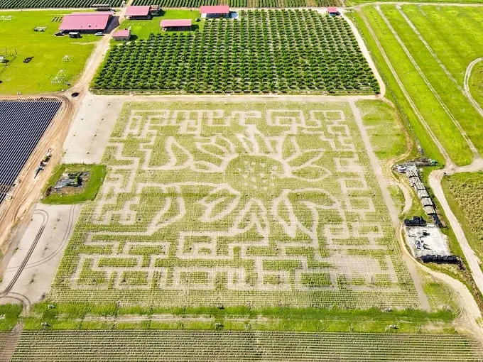 southern hill farms 1