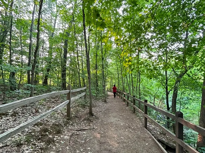 stephens falls trail 2