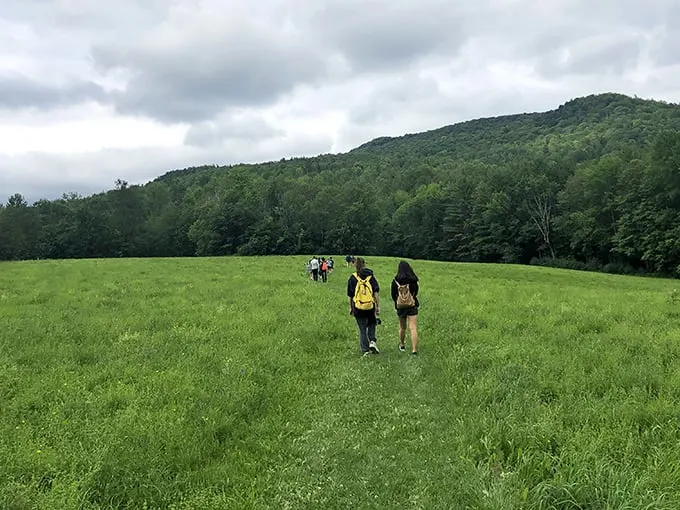 taconic ramble state park 1