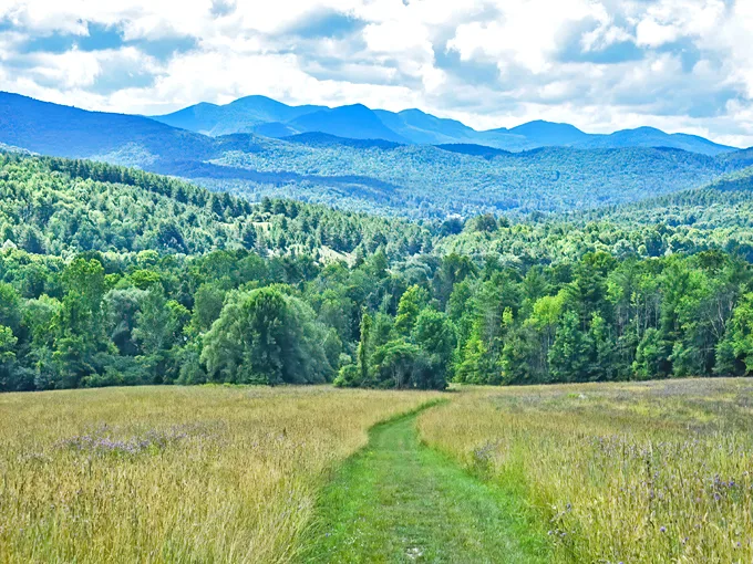 taconic ramble state park 1