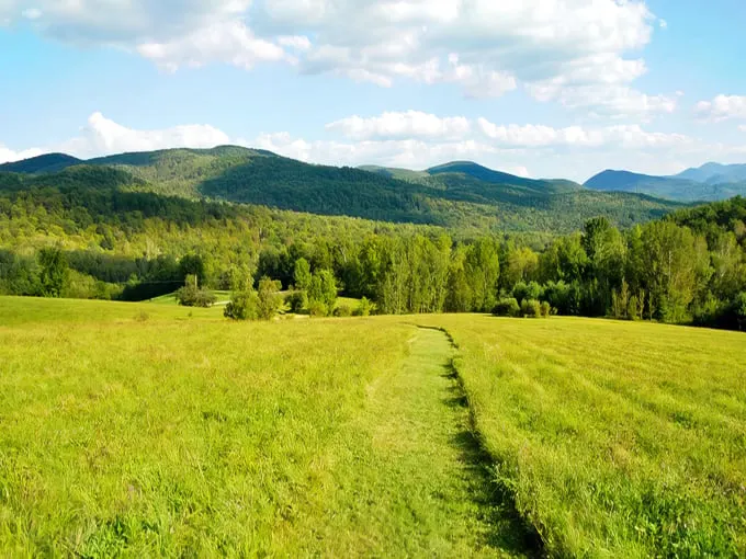 taconic ramble state park 1