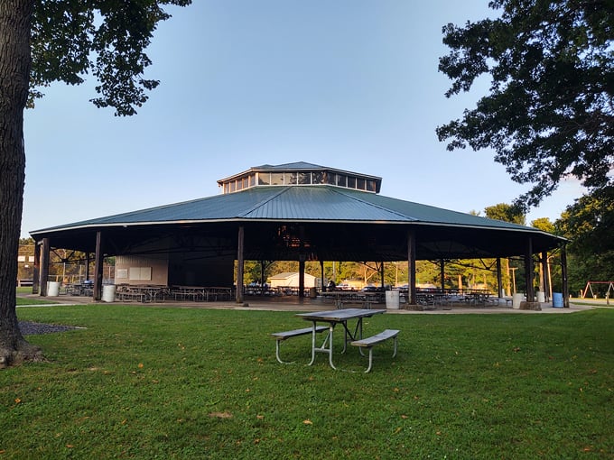 taylorville, illinois 4