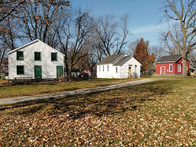 taylorville, illinois 5