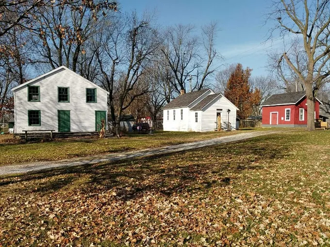 taylorville, illinois 5