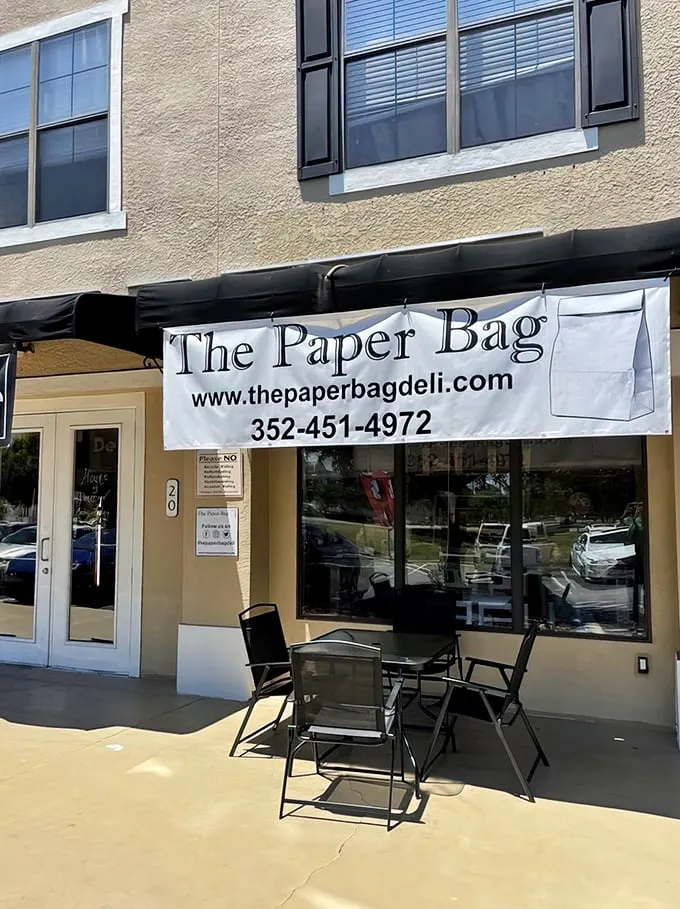 the paper bag 1