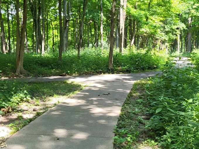 walnut point state park 2