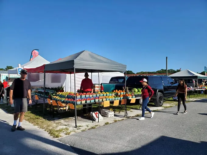 webster westside flea market 5