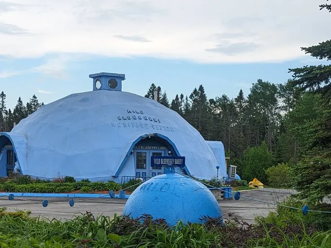 wild blueberry land 1