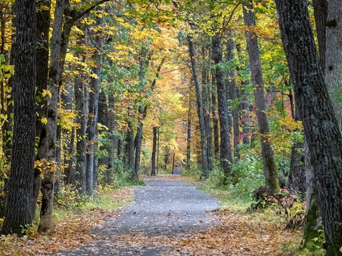 wild river state park 1