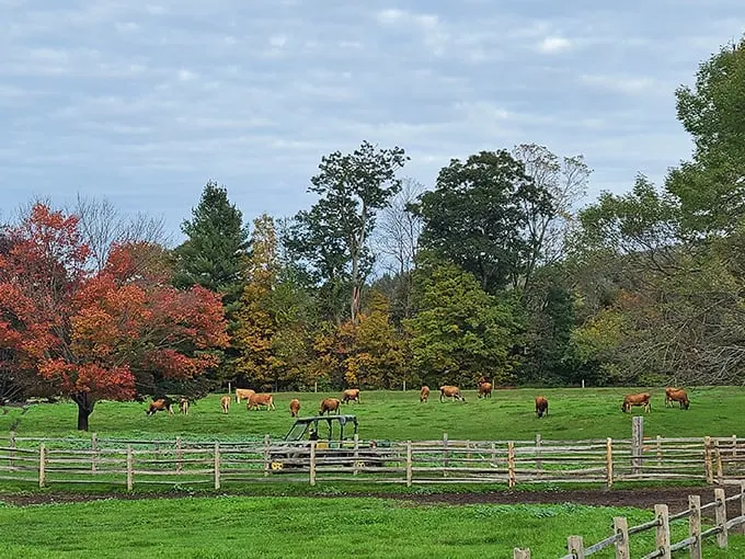 woodstock, vermont 4