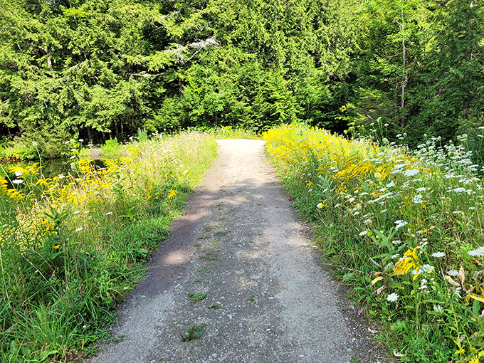 woodstock, vermont 9