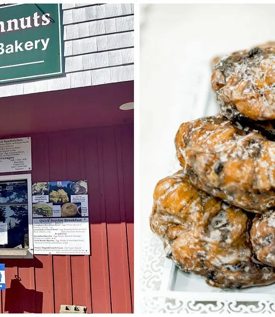 best-blueberry-fritters-maine FTR