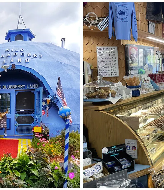 blueberry-shaped-bakery-maine ftr