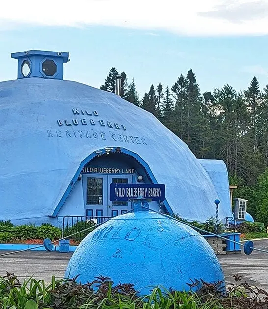 blueberry themed bakeshop maine ftr