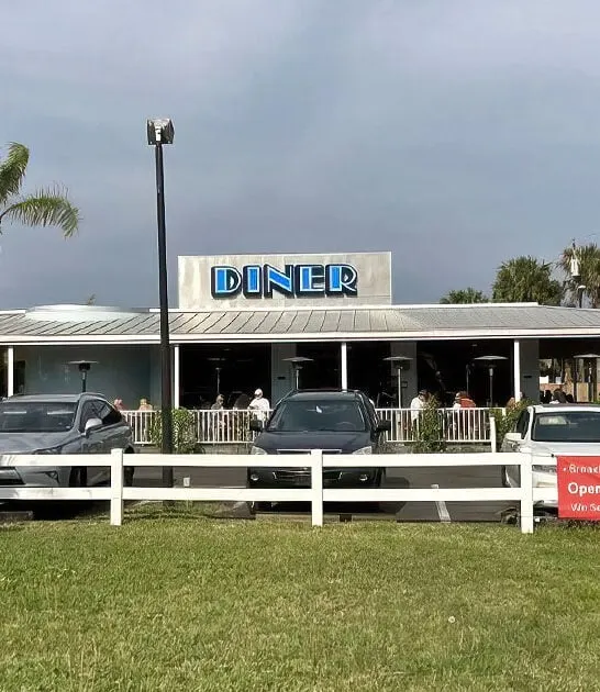 delicious chicken waffles florida ftr