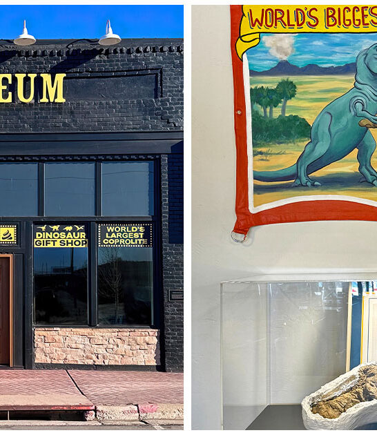 dinosaur-poop-museum-arizona FTR