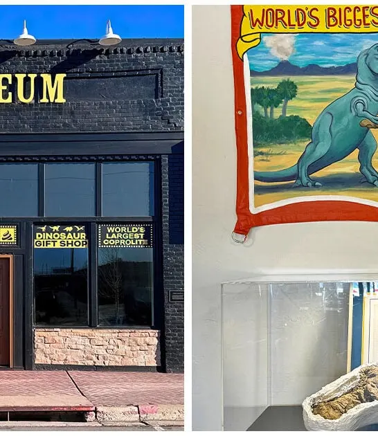 dinosaur-poop-museum-arizona FTR
