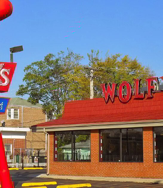 famous chicago dog illinois ftr
