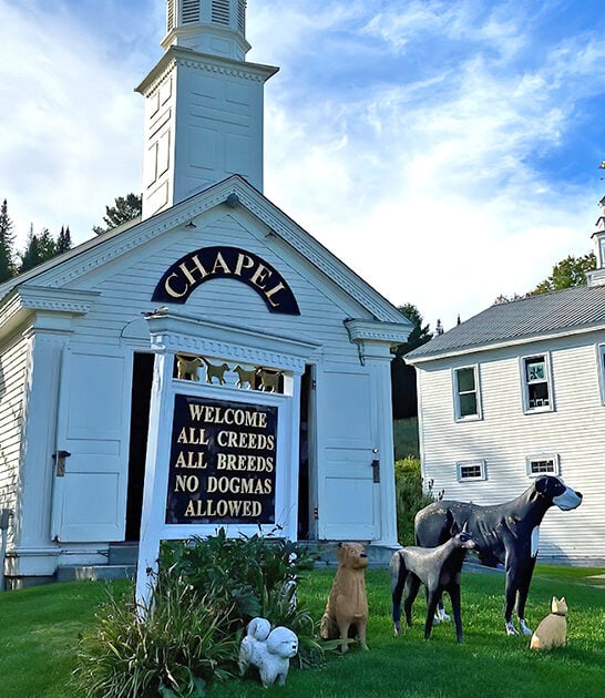 fascinating dog chapel vermont ftr