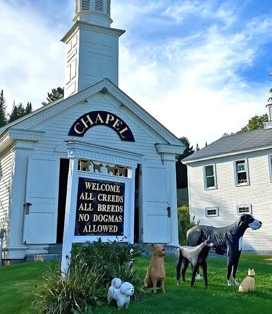 fascinating dog chapel vermont ftr