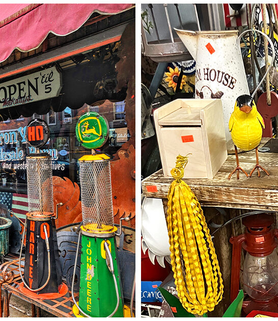 illinois-charming-antique-store FTR