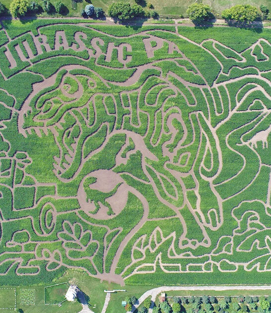 largest corn maze illinois ftr