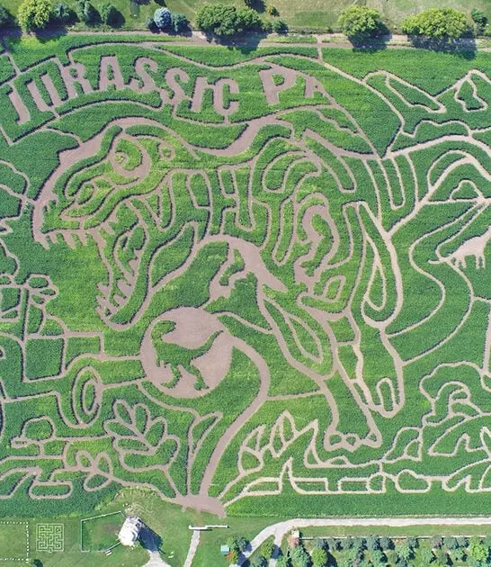 largest corn maze illinois ftr