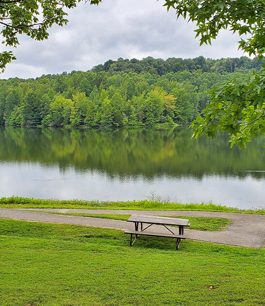 natural state park illinois ftr