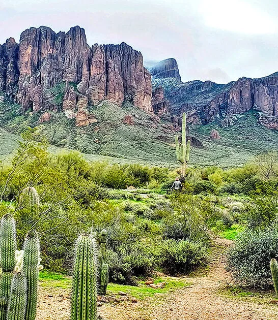 park desert mountains arizona ftr