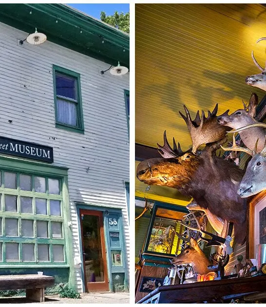 quirky-curiosities-museum-vermont ftr