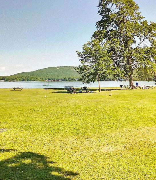 scenic state park vermont ftr